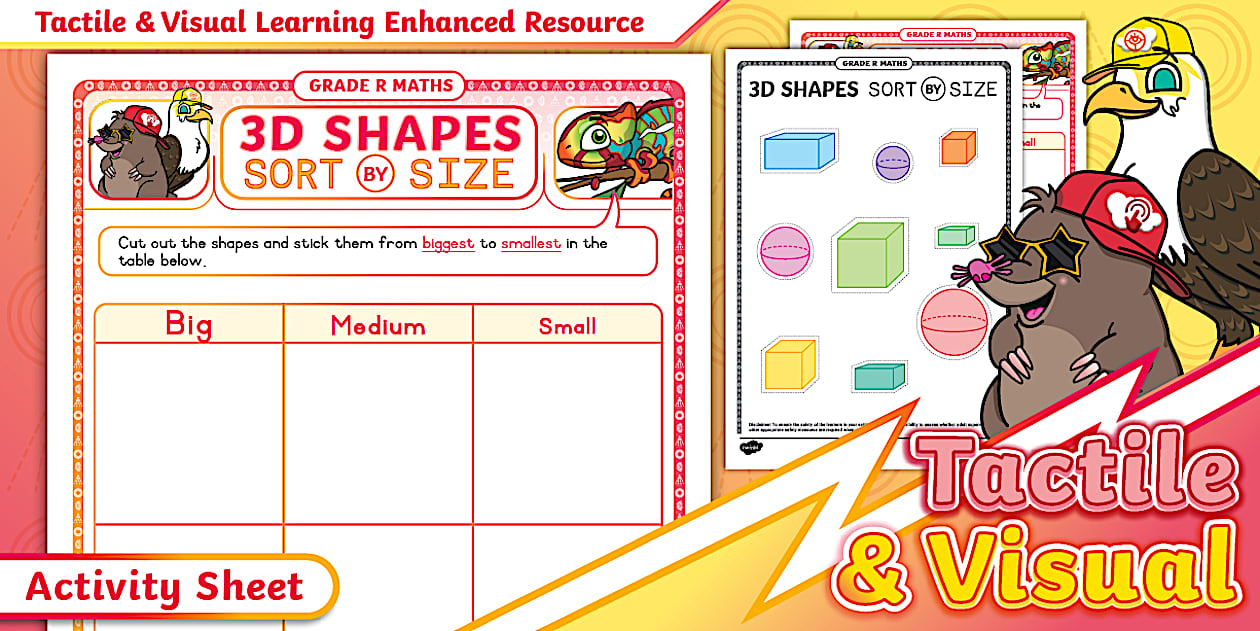 Grade R -3D Shapes - Worksheet - Sort by Size (CAPS Aligned)