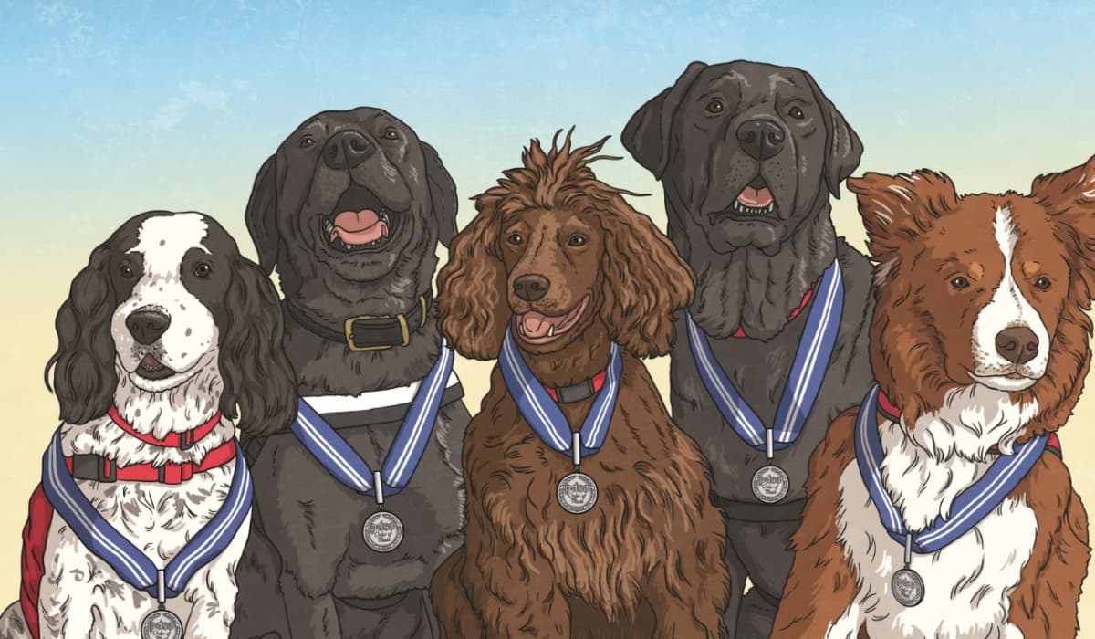 Five Dogs to Receive PDSA Award - Twinkl NewsRoom - Twinkl