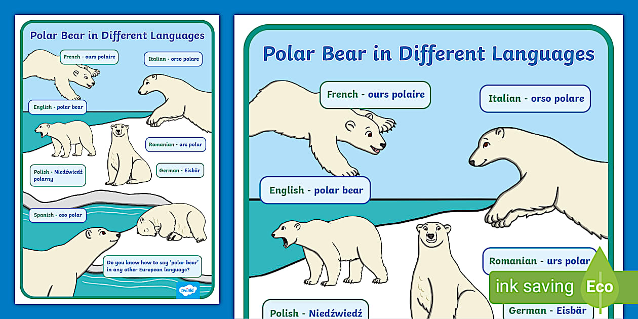 Polar Bear Names in Different Languages Poster - Twinkl