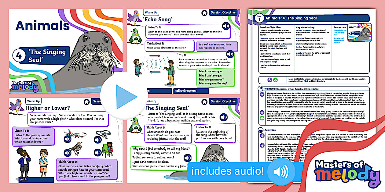 👉 Year 1 Animals - Session 4 (teacher made) - Twinkl