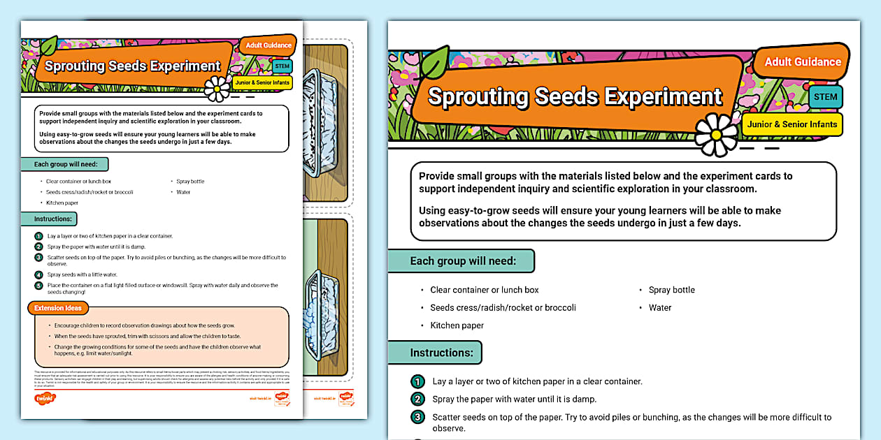 Sprouting Seeds Experiment Activity (teacher made) - Twinkl