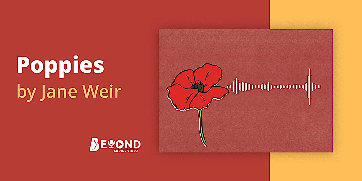 Poppies | Power and Conflict Poetry | 5 min Audio Shot Podcast