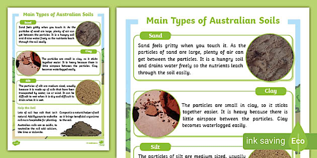 Various Types of Soil for Planting Fact File | Twinkl