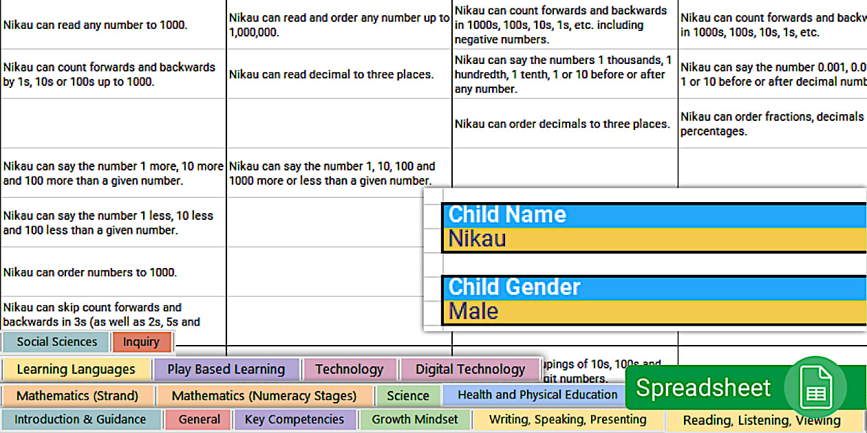 Report Comments NZ for Years 0-8 | Twinkl NZ (teacher made)