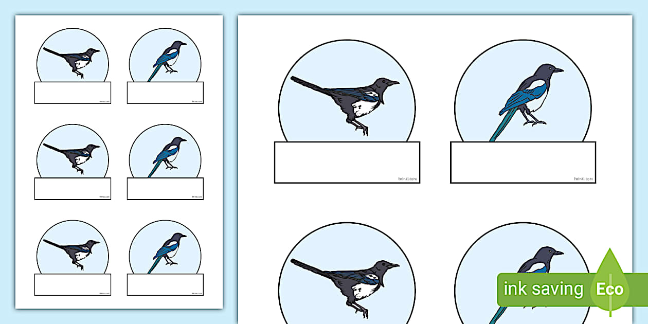 Magpie Self-Registration Labels (Teacher-Made) - Twinkl