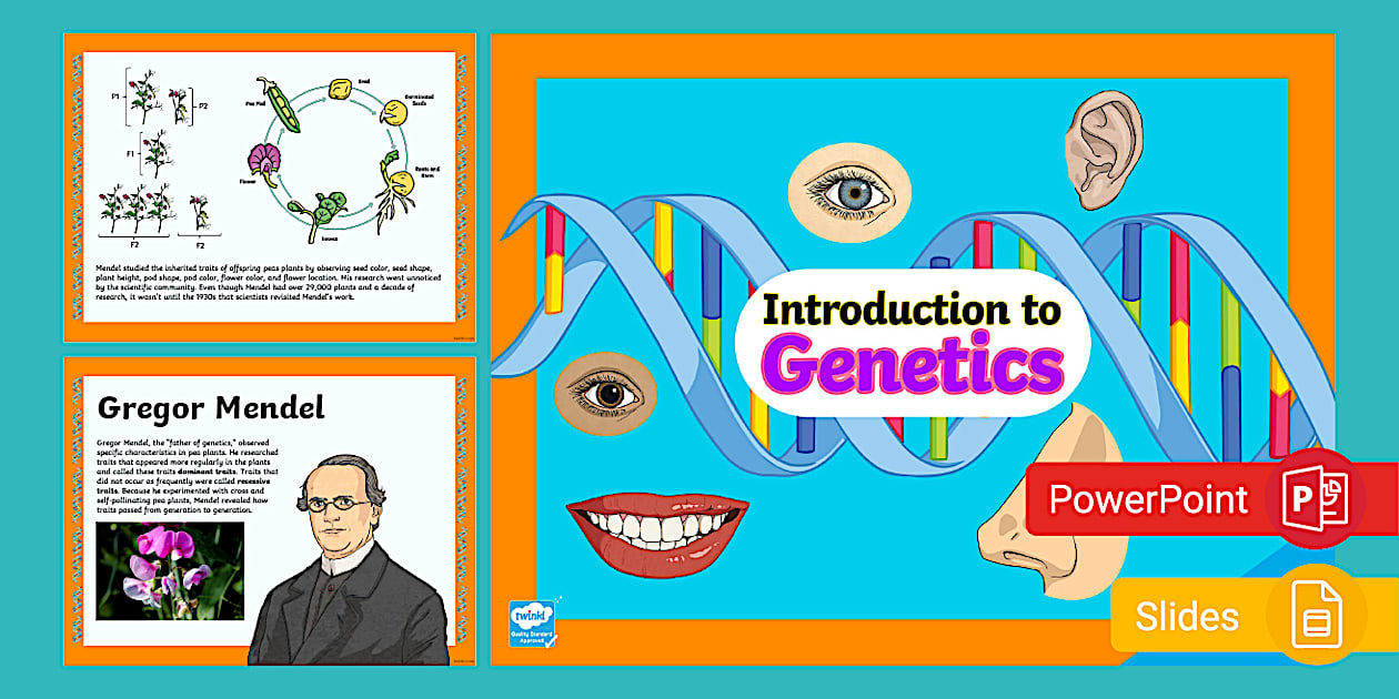 Genetics PowerPoint Template | Science | Twinkl USA - Twinkl