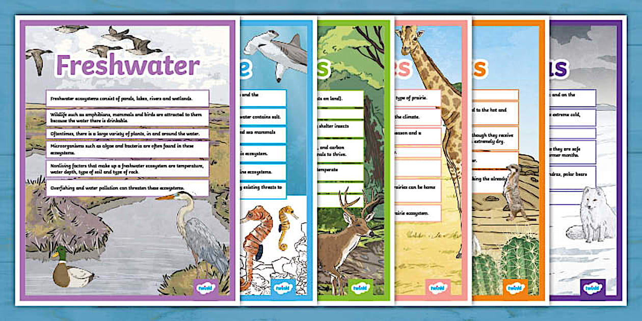 Ecosystems (teacher made) - Twinkl