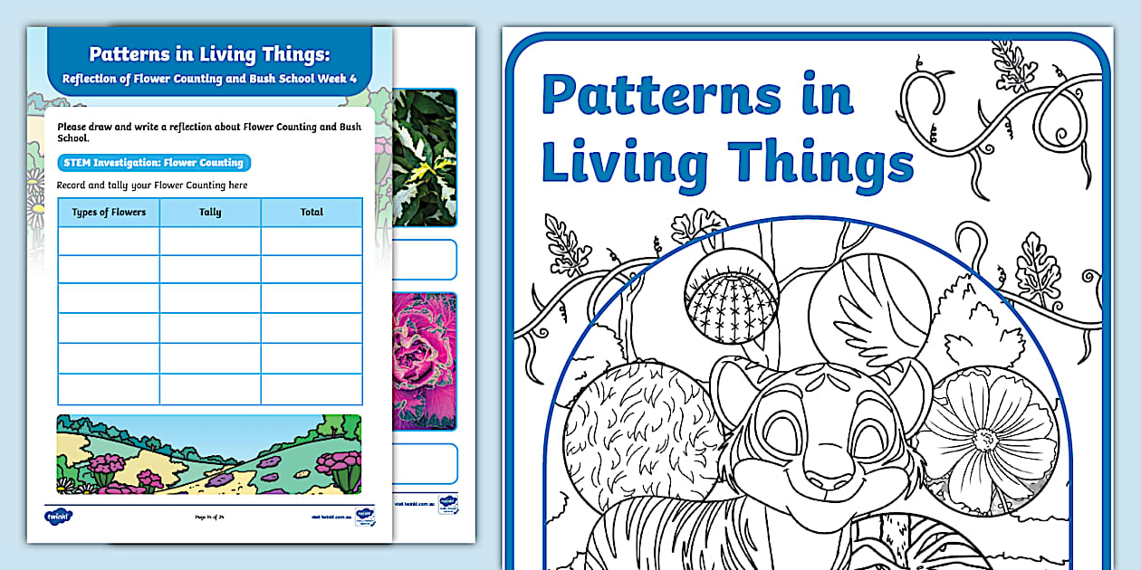 Patterns in Living Things Concept Book (teacher made)