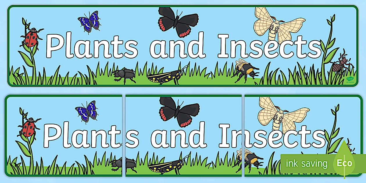 Plants and Insects Display Banner (Lehrer gemacht) - Twinkl