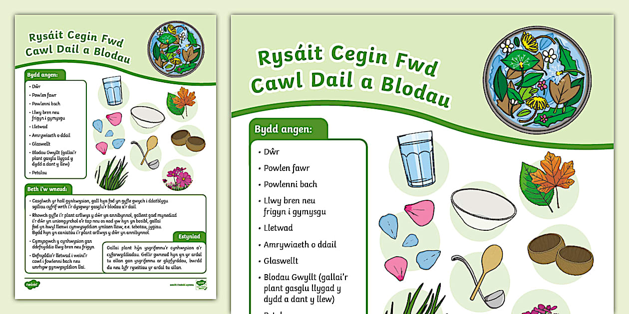 Rysáit Cegin Fwd: Cawl Dail a Blodau (teacher made)