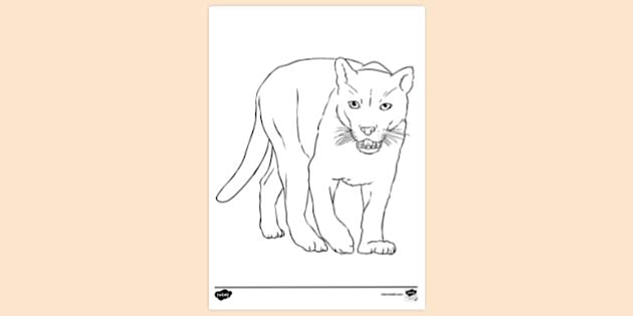 Puma Colouring Sheet | Colouring Sheets (teacher made)