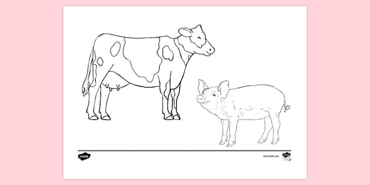 Cow and Pig Colouring Sheet | Colouring Sheets | Twinkl