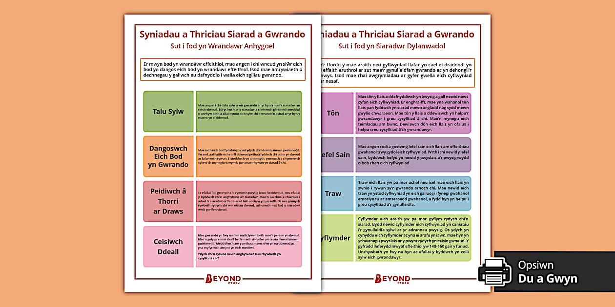 Poster Syniadau a Thriciau Siarad a Gwrando (teacher made)