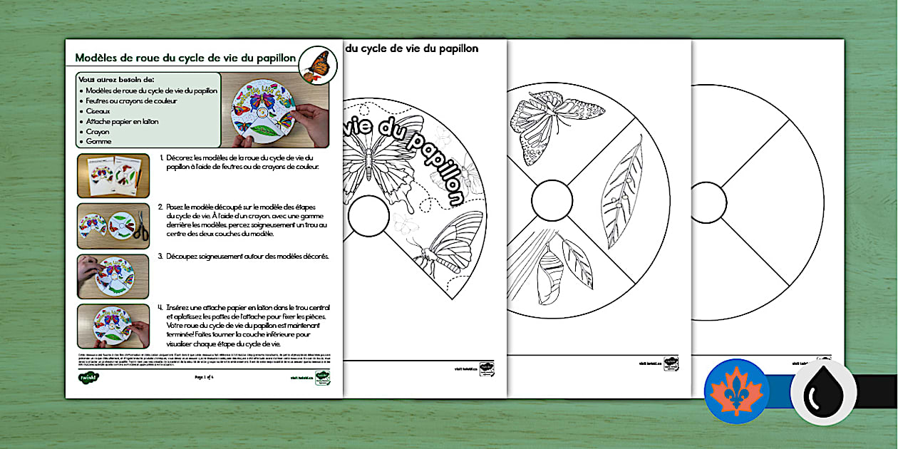 Butterfly Life Cycle Spinner Craft French