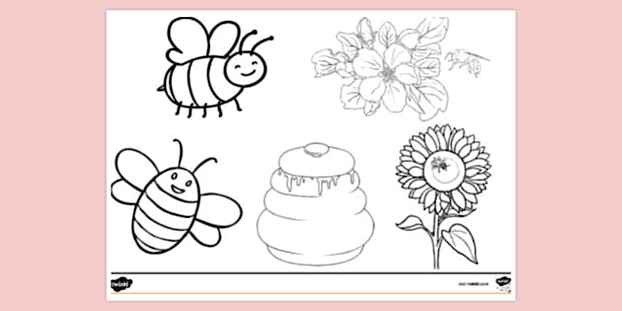 Bee Colouring Page | Colouring Sheets (Teacher-Made)