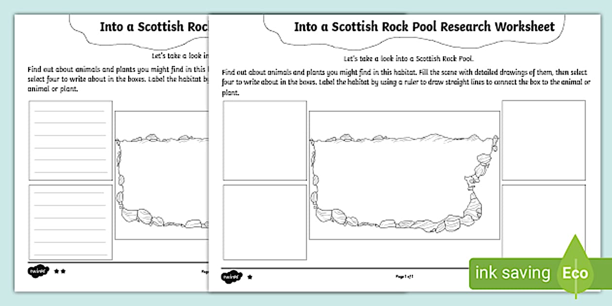 Into a Scottish Rock Pool Research Worksheet (teacher made)
