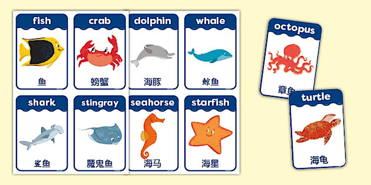 Originals First Words Flashcards: Sea Creatures