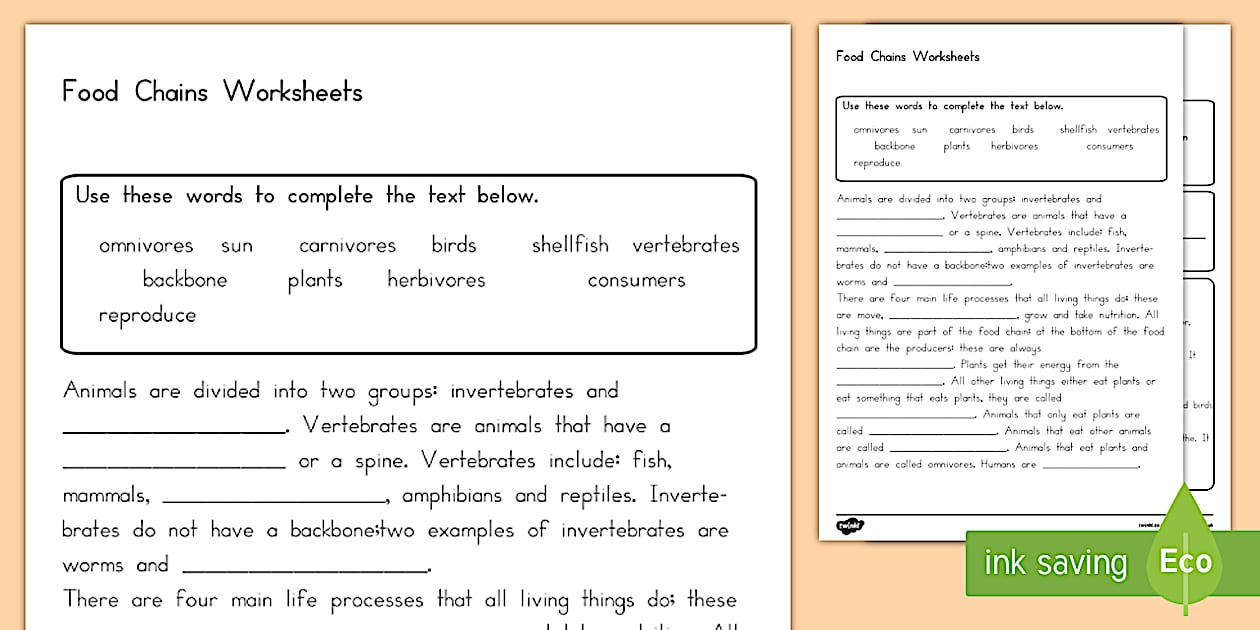 Food Chain Worksheet (teacher made) - Twinkl