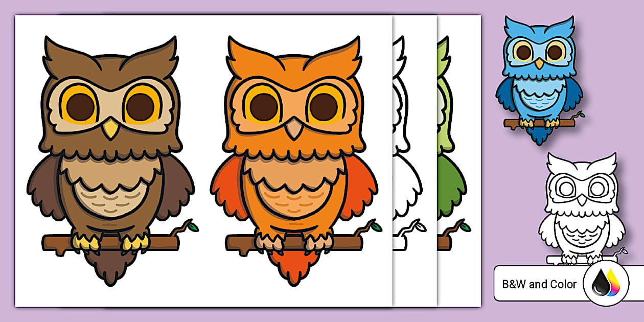 * NEW * Adorable Owl Theme Cutouts