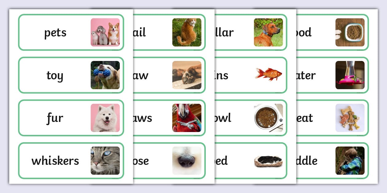 Pets Word Cards