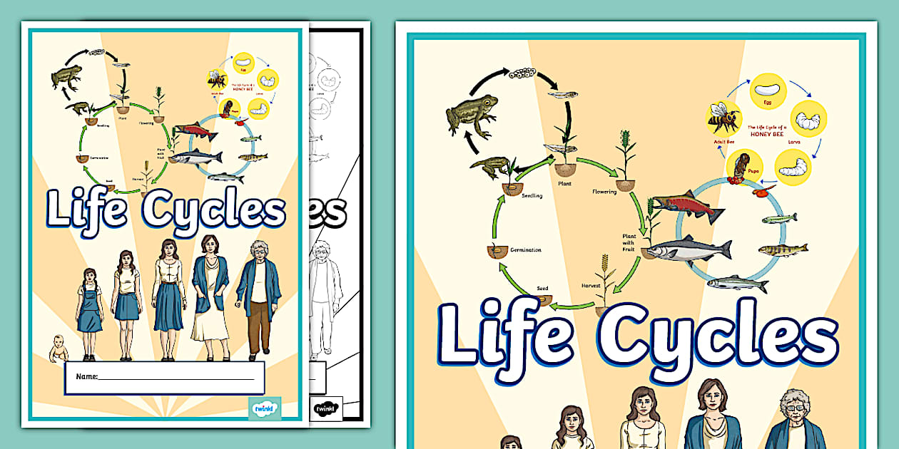Life Cycles Book Cover