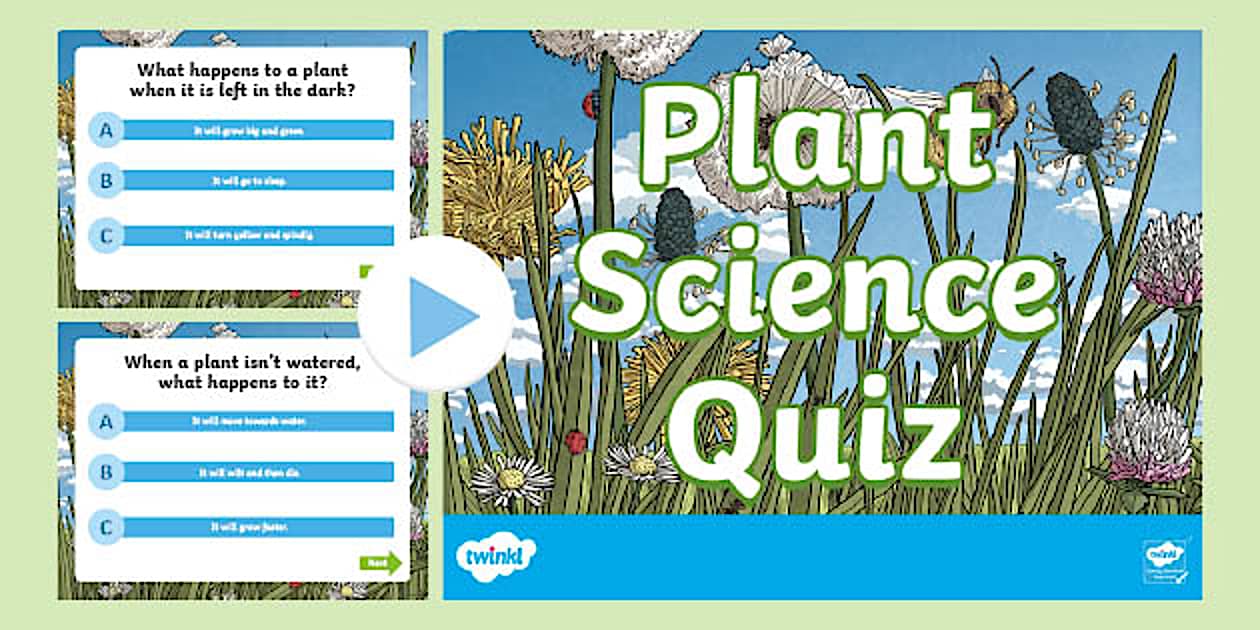 Plants Quiz PowerPoint | Science Quiz (teacher made)