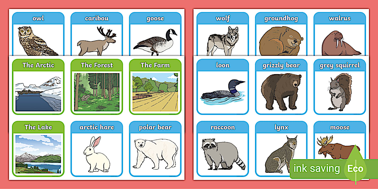 Canadian Animals & Habitat Matching Cards - Twinkl