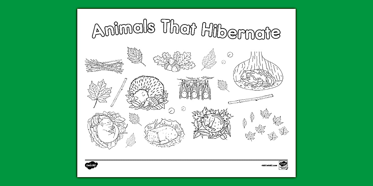 Animals that Hibernate Doodles Coloring Sheet (teacher made)
