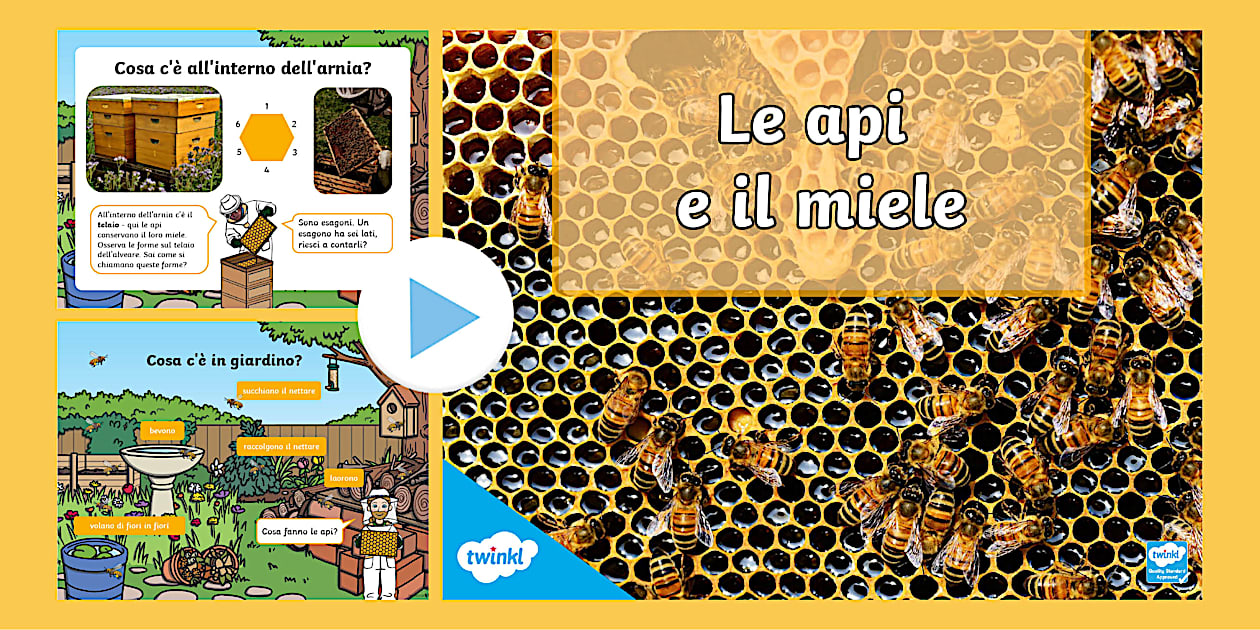 Le api e il miele PowerPoint (professor feito) - Twinkl