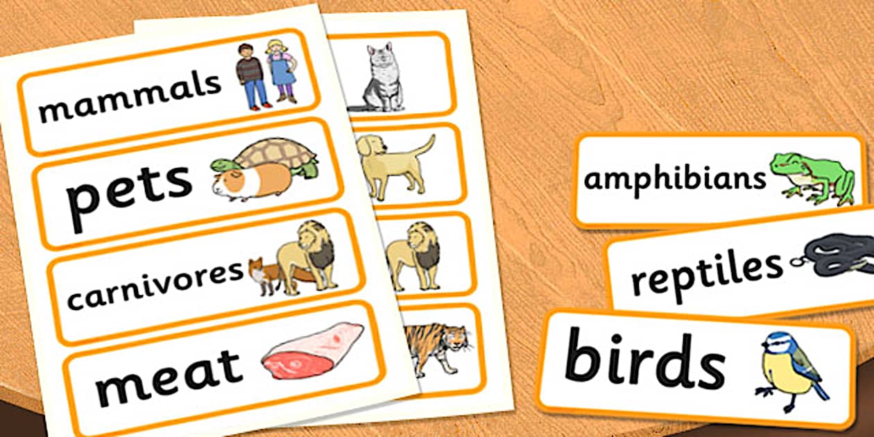 Cursive Year 1 Animals Including Humans Scientific Vocabulary Cards