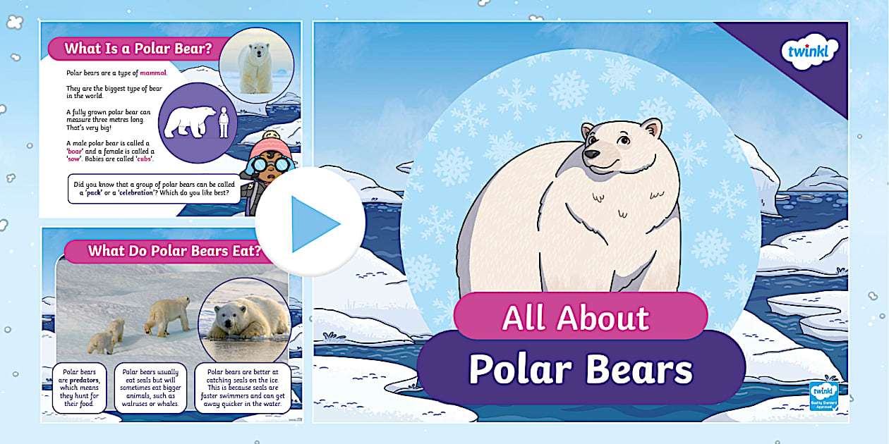 Kindergarten All About Polar Bears PowerPoint (Teacher-Made)