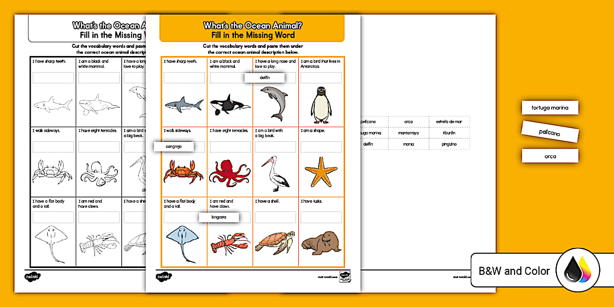 Sea Creatures in Spanish Activity Worksheet | Resource | Twinkl USA