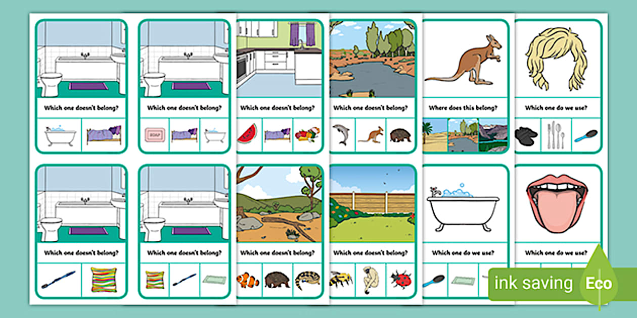 Communicating with Categories Peg Cards (Teacher-Made)