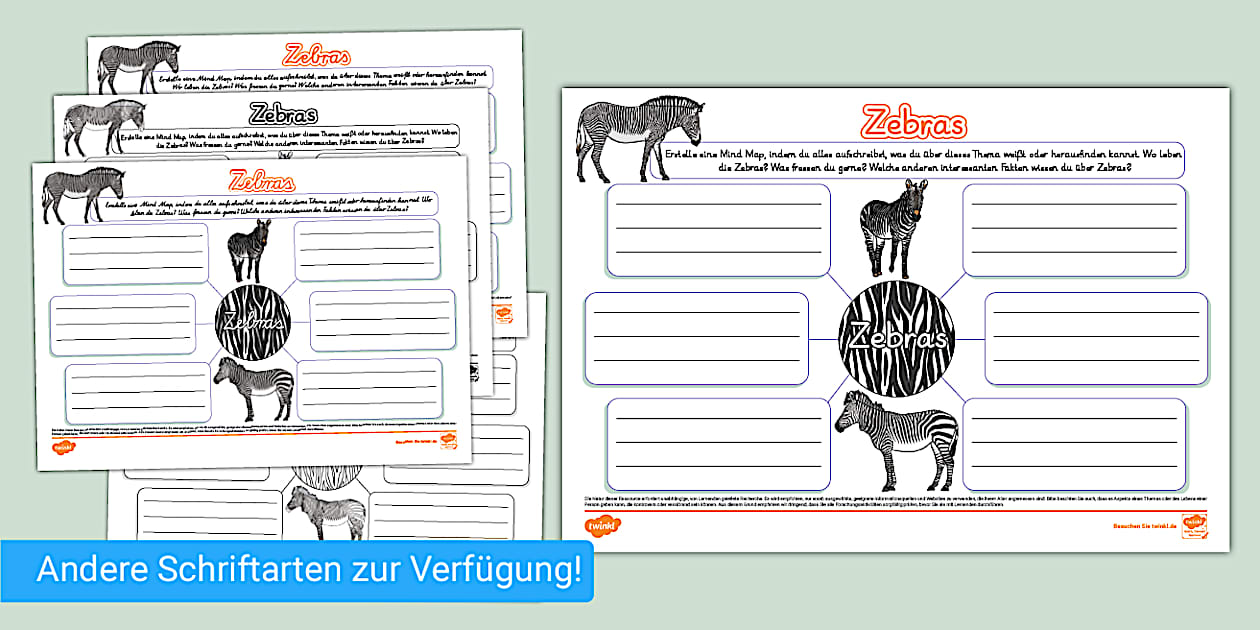 Zebras - Mind Map (l'enseignant a fait) - Twinkl