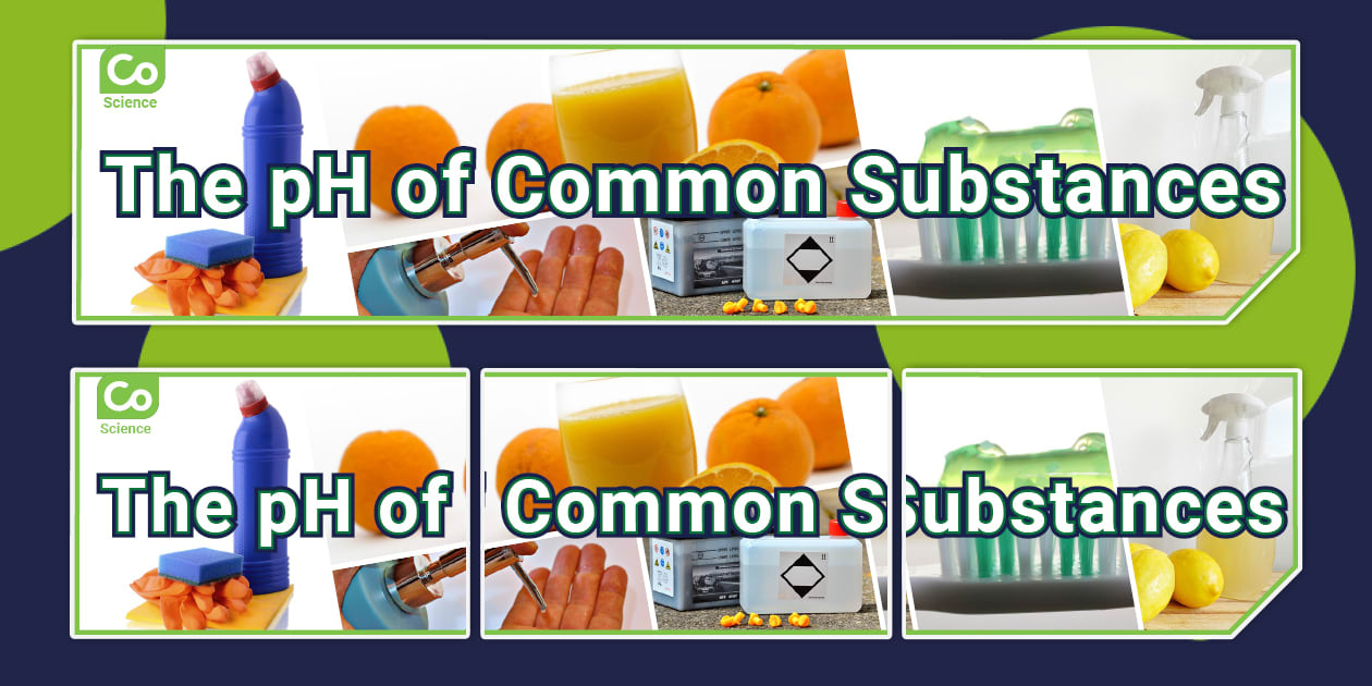 The pH of Common Substances: Display Banner (teacher made)
