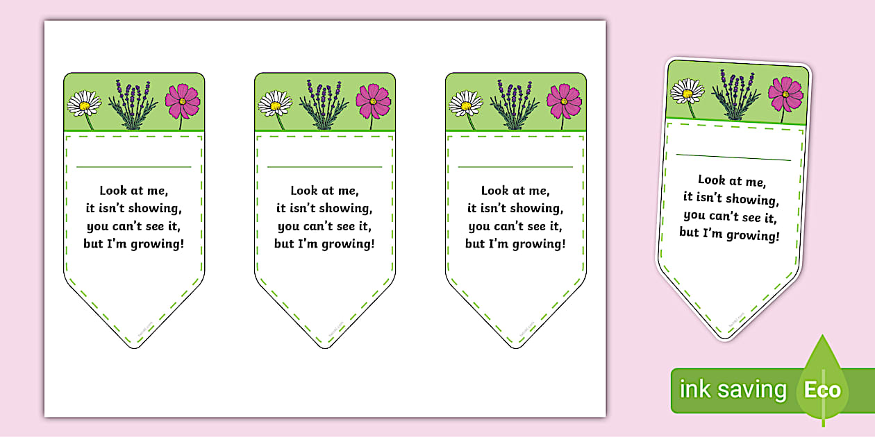 Editable Plant Label Template (l'enseignant a fait) - Twinkl