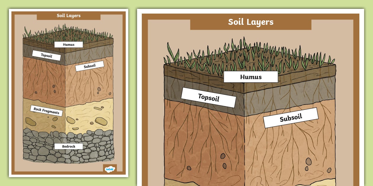 Soil Layers Display Poster (teacher made) - Twinkl