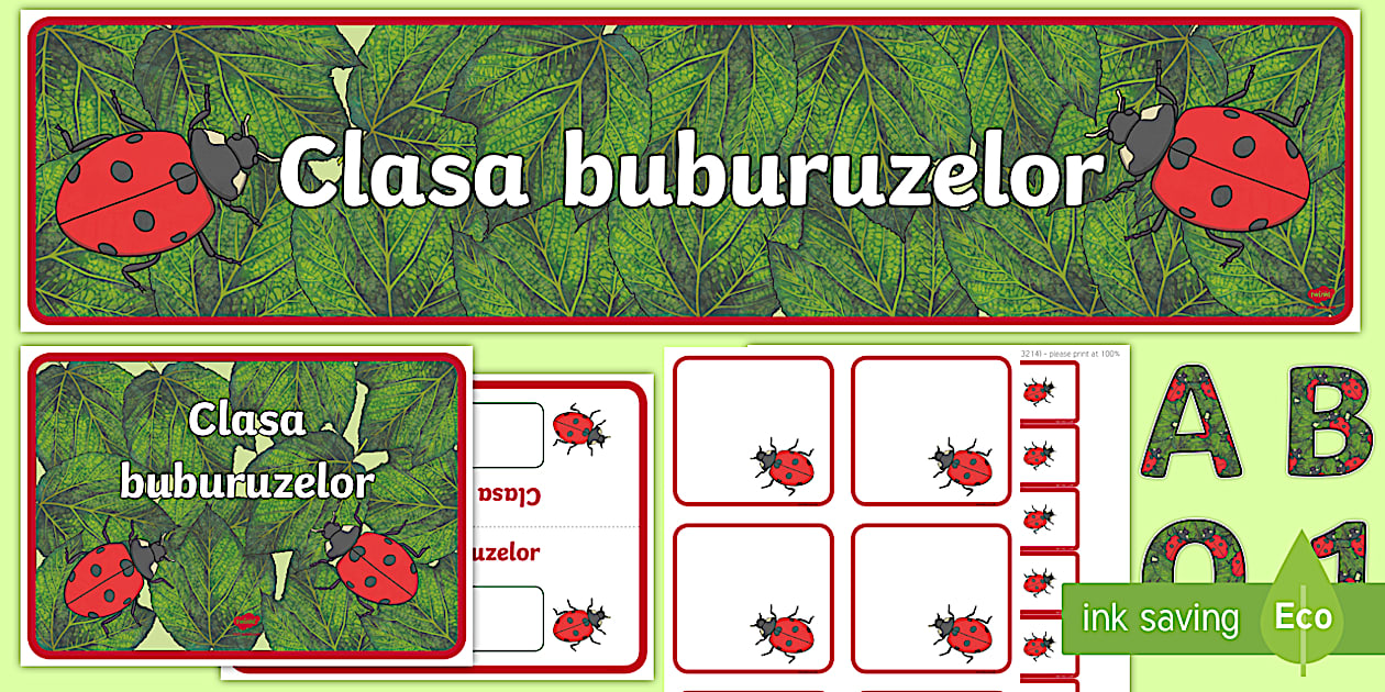 Clasa buburuzelor - Decorul și amenajarea clasei - Twinkl