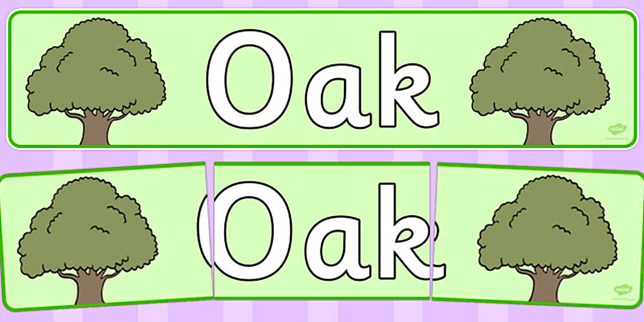 Cursive Oak Display Banner (teacher made) - Twinkl