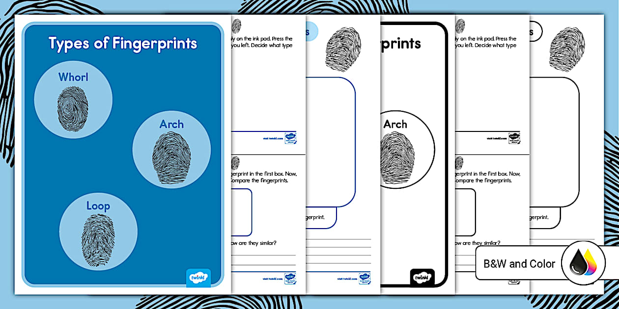 First Grade All About Fingerprints Activity (teacher made)