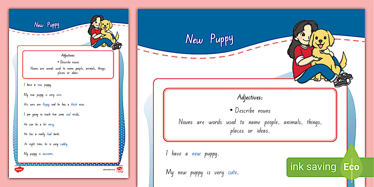 Written Language Features: Adjectives Exemplar Text - Twinkl