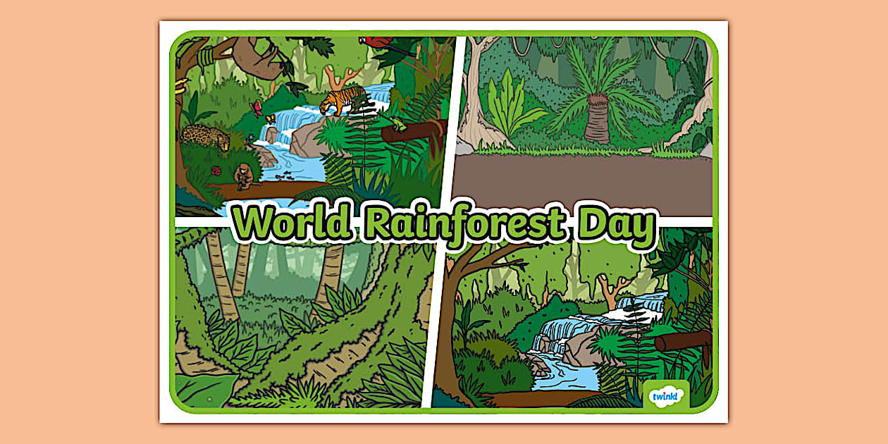 World Rainforest Day Display Poster (Teacher-Made) - Twinkl
