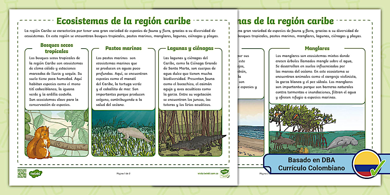 Ecosistemas de la región Caribe colombiana - Twinkl Colombia