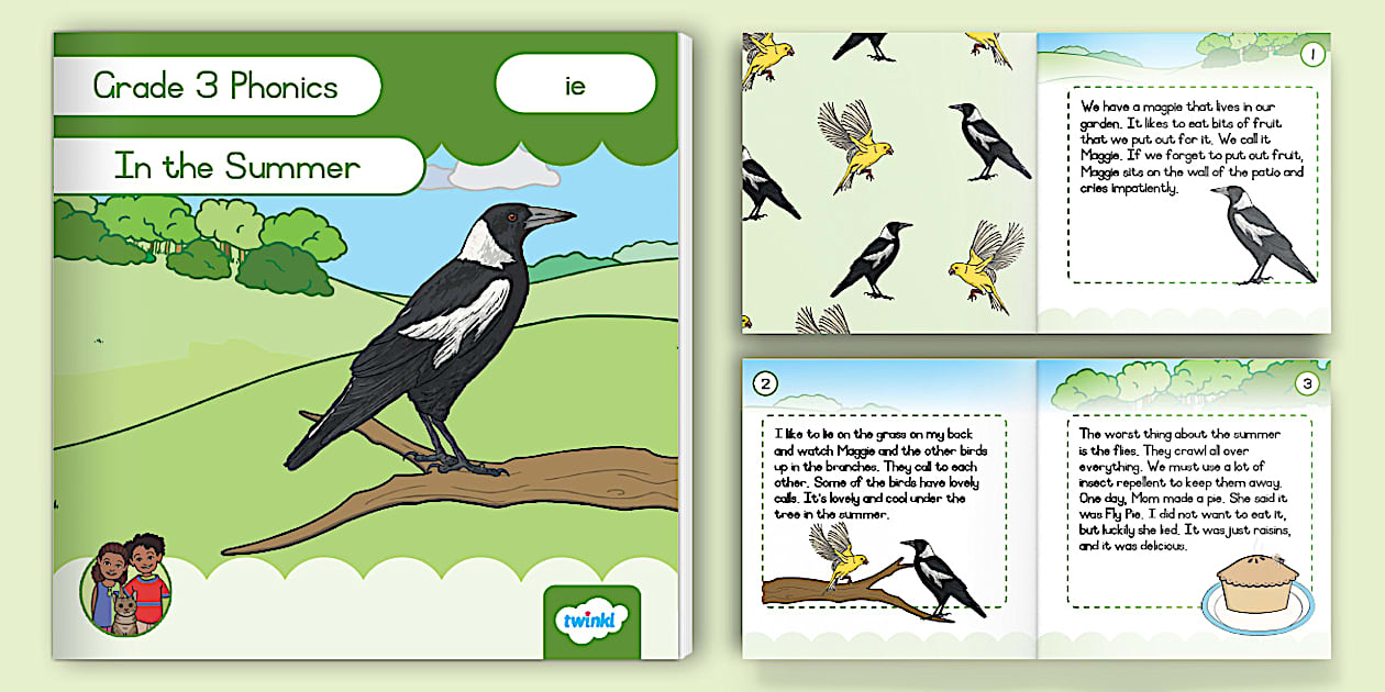 Grade 3 eBook: ie (teacher made) - Twinkl