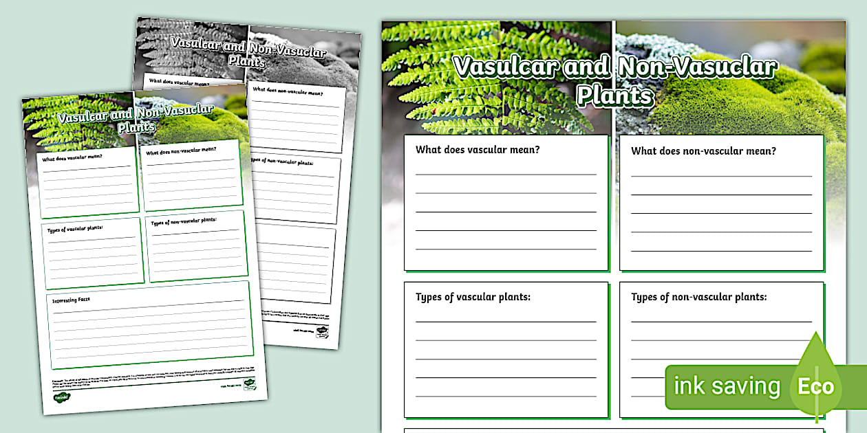 Vascular and Non-Vascular Plants Fact File Template - Twinkl