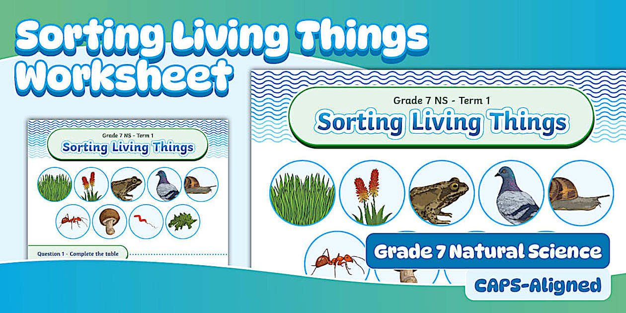 Grade 7 NS - Term 1 - Sorting Living Things - Worksheet