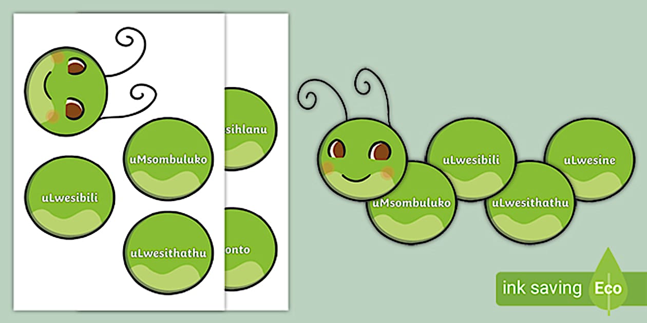 Days of the Week Caterpillar - Zulu (teacher made) - Twinkl