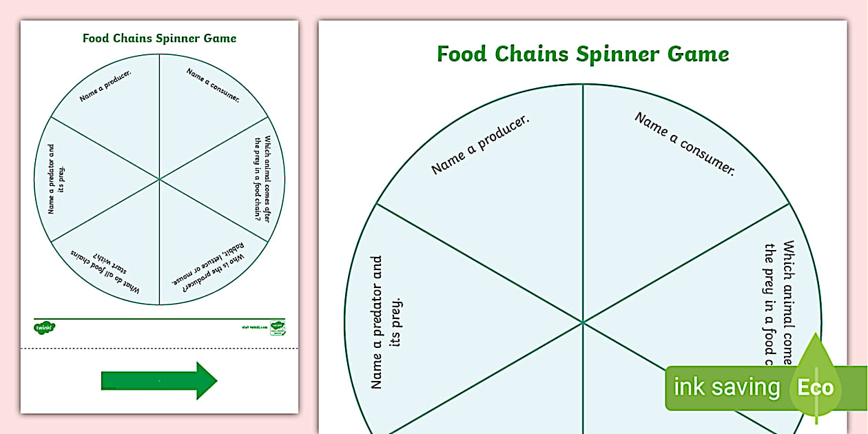 Food Chains Spinner Game