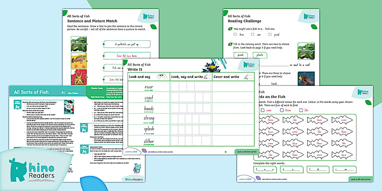 Level 4c All Sorts of Fish Guided Reading Pack - Twinkl