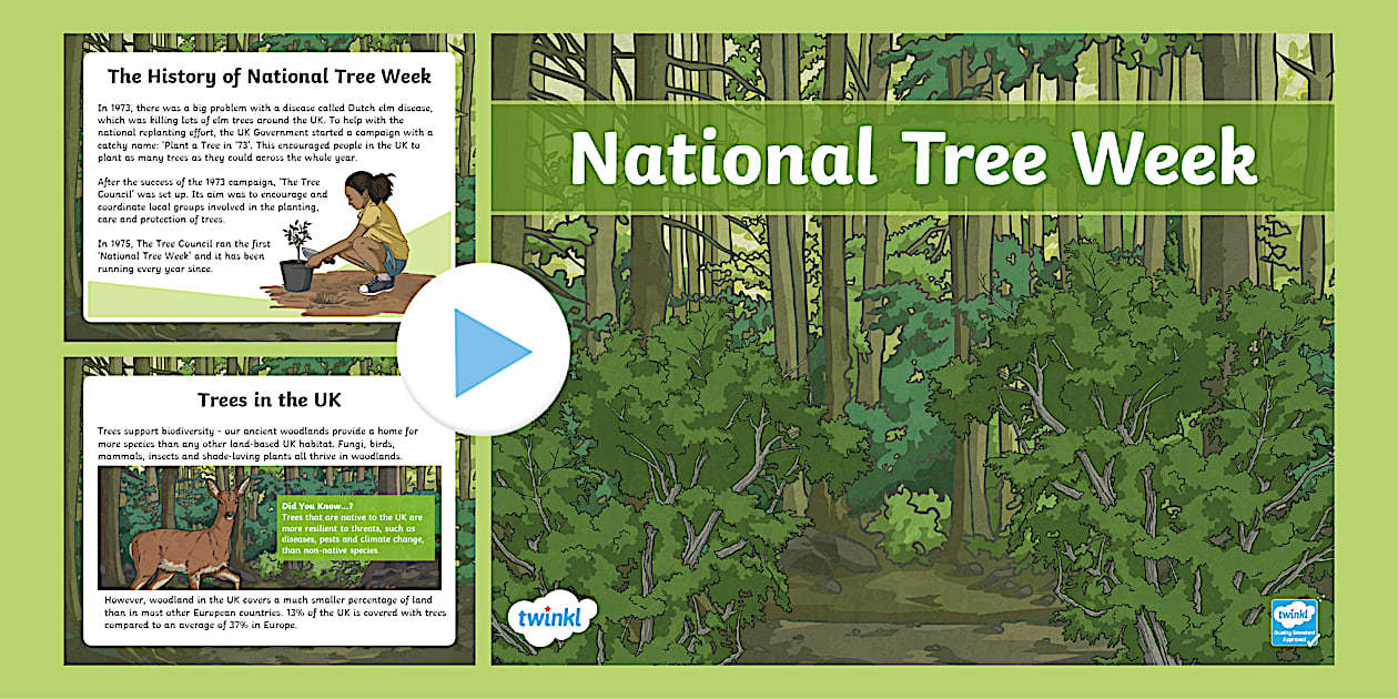 National Tree Week Assembly PPT - KS2 - Assemblies - Twinkl